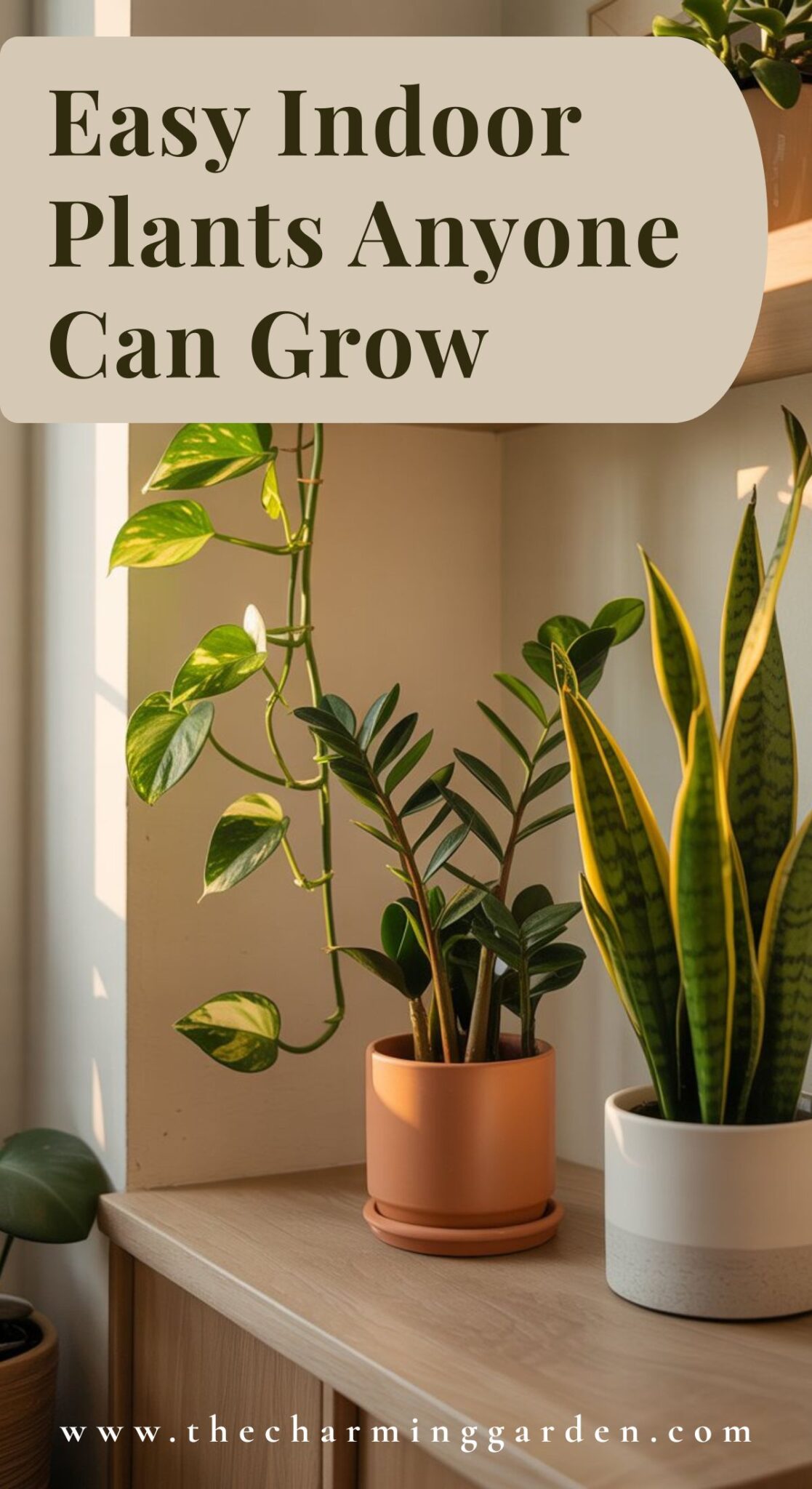 Easy Indoor Plants for Beginners - thecharminggarden.com